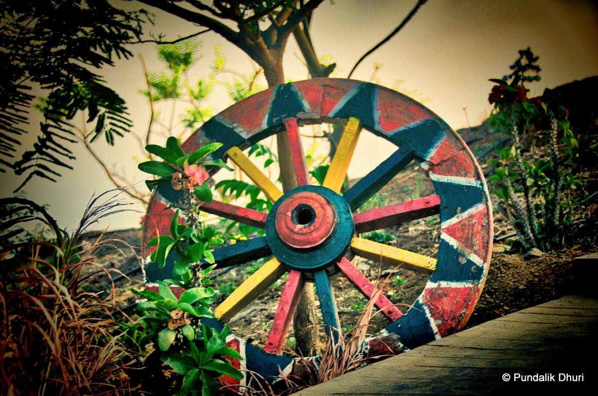FlashBack 2024–Wheel | उनाड