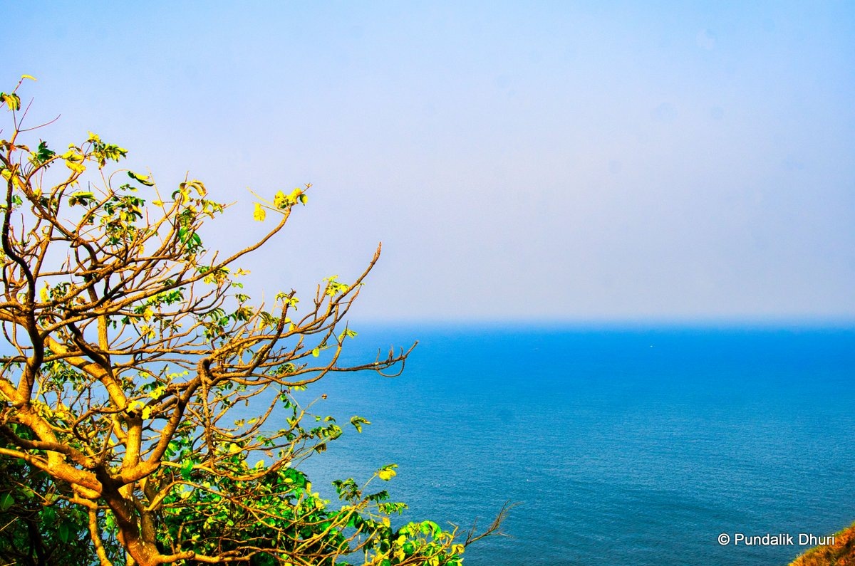 Deep Blue | उनाड