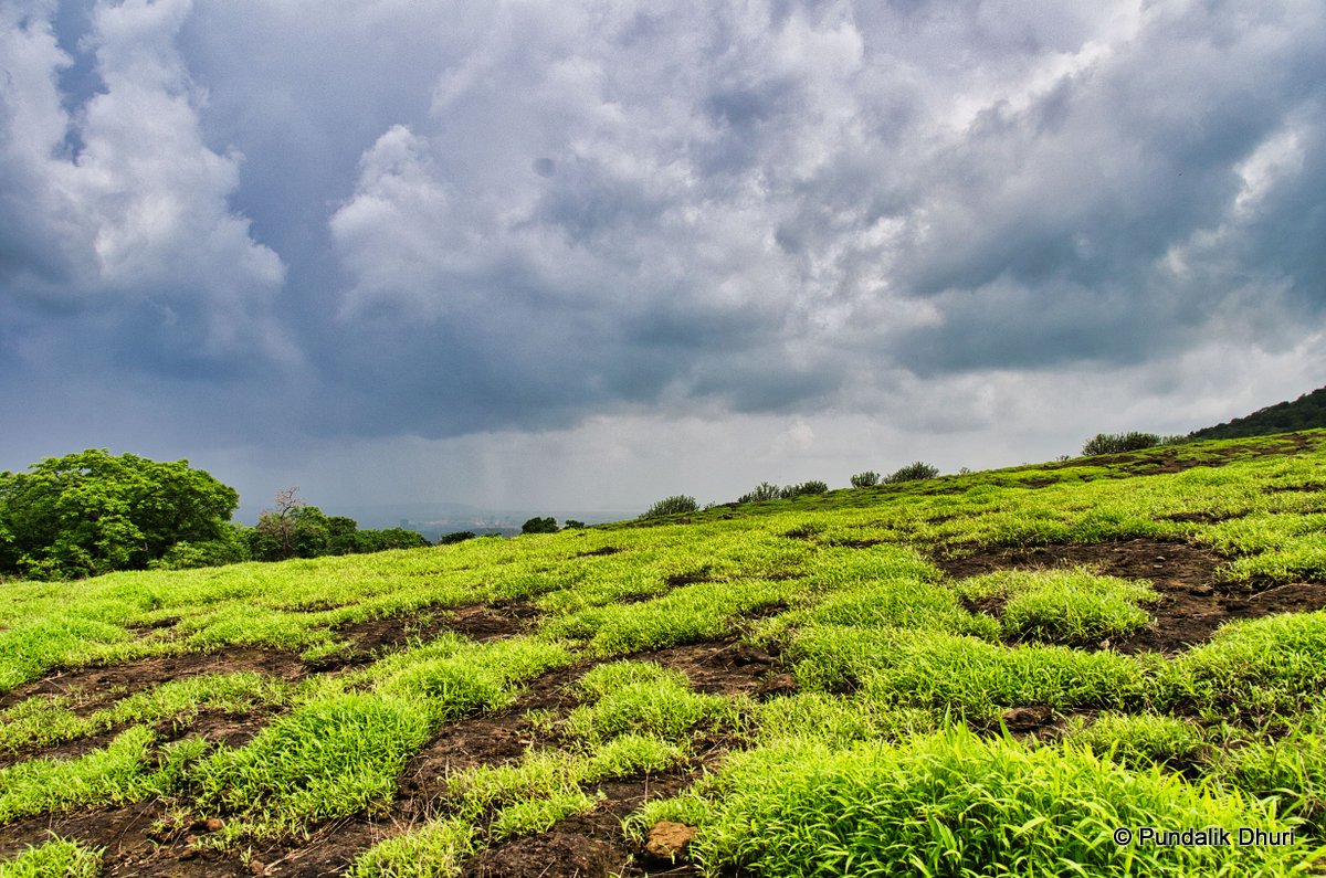 Plateau | उनाड