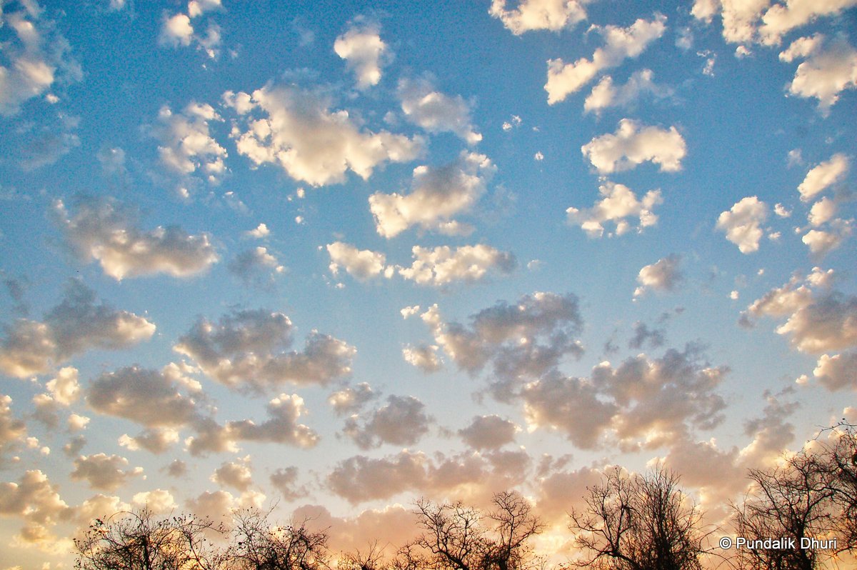 Fluffy Cloud | उनाड